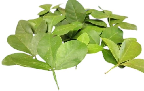 Buy Bilvam / Vilvam - 50g online in the U.K.| AHA BAZAAR